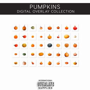PUMPKINS OVERLAYS, Photoshop Overlays, Pumpkin, Pumpkin Overlays, Fall ...