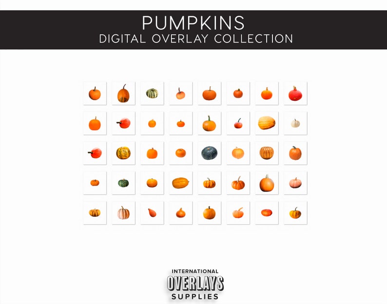 PUMPKINS OVERLAYS, Photoshop Overlays, Pumpkin, Pumpkin Overlays, Fall ...
