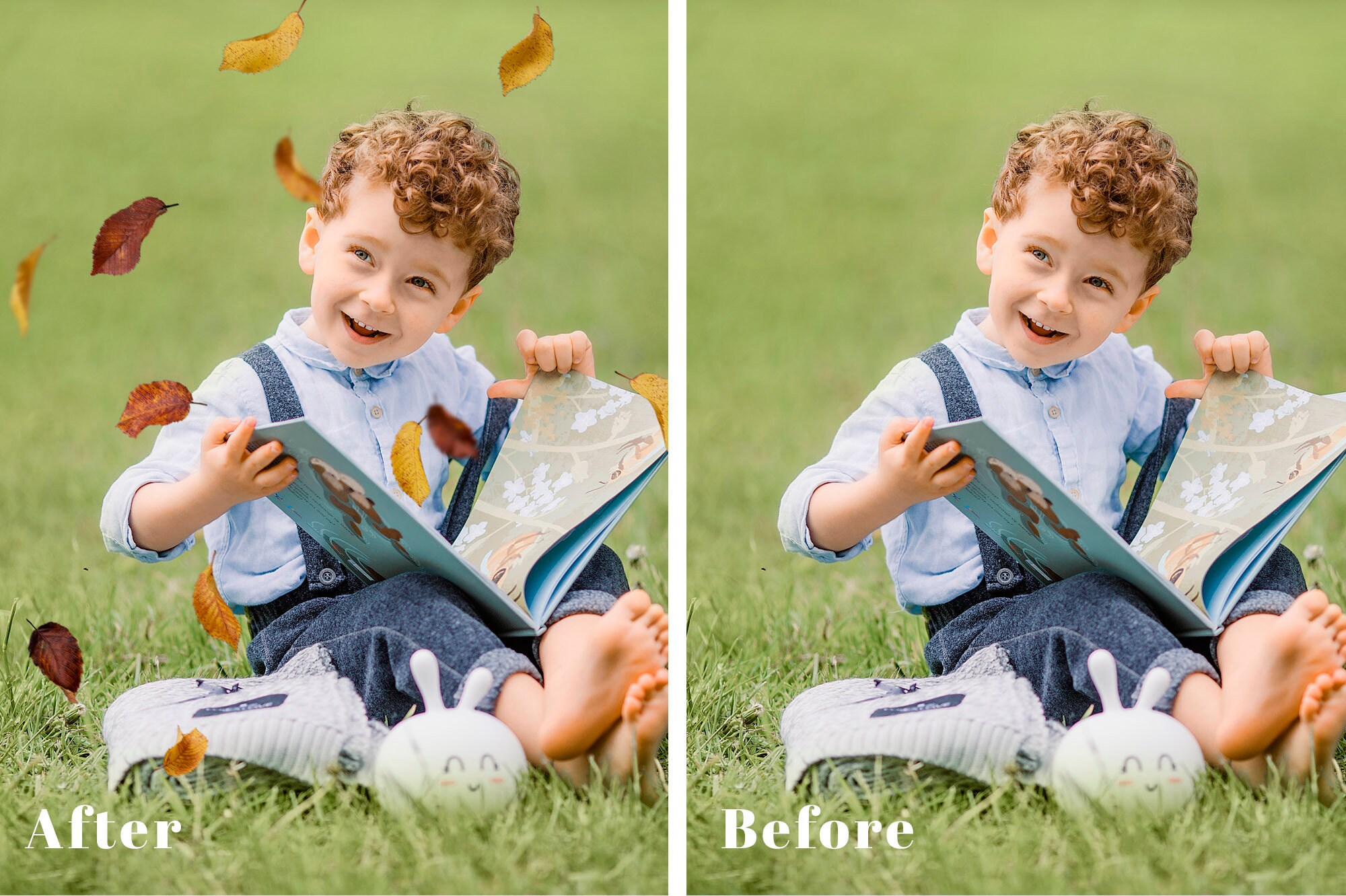 AUTUMN LEAVES OVERLAYS, Flying Leaves, Photoshop Overlays, Leaves ...