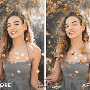 MONARCH Butterflies Photoshop Overlays, Realistic Butterfly Overlays ...