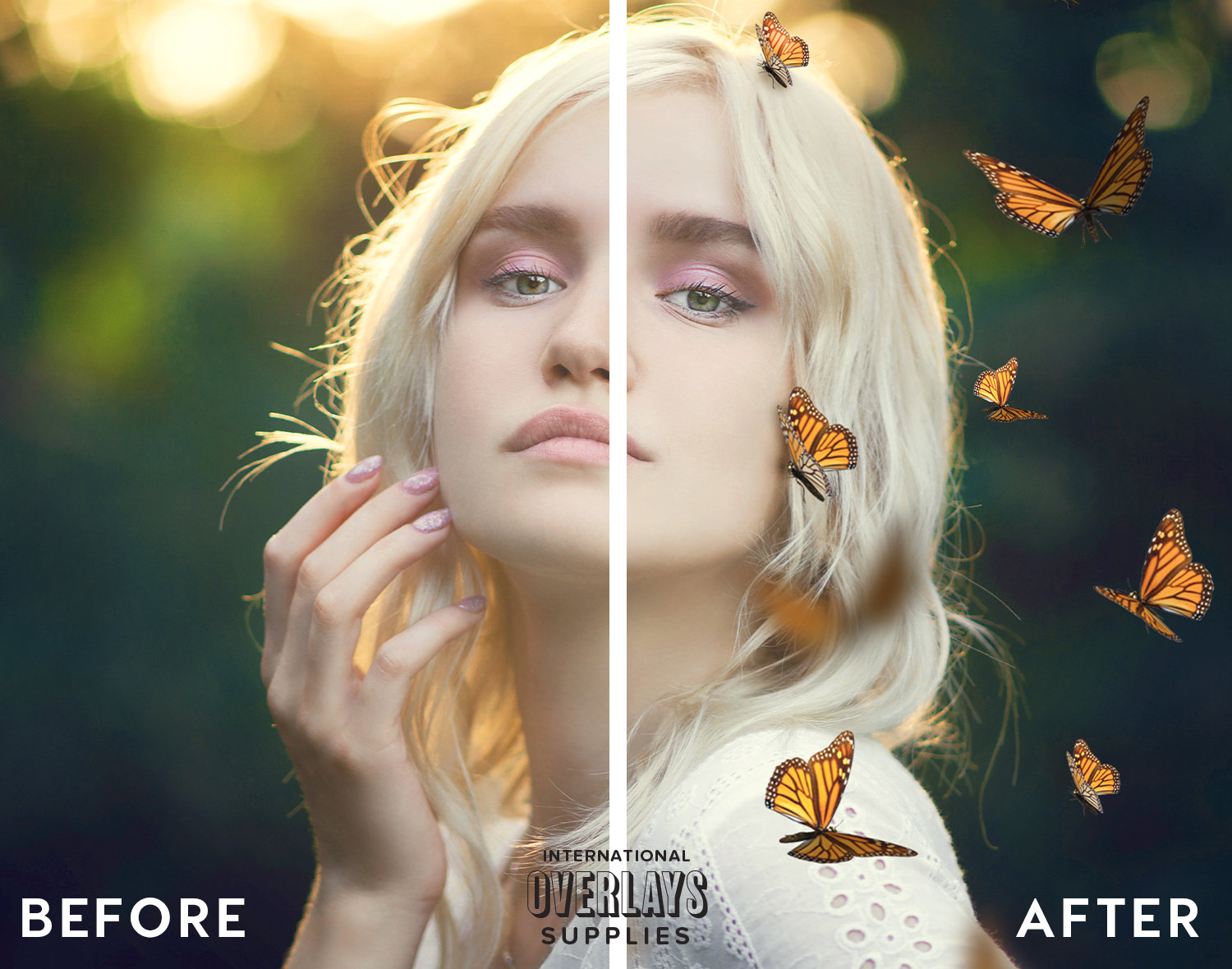 MONARCH Butterflies Photoshop Overlays, Realistic Butterfly Overlays ...