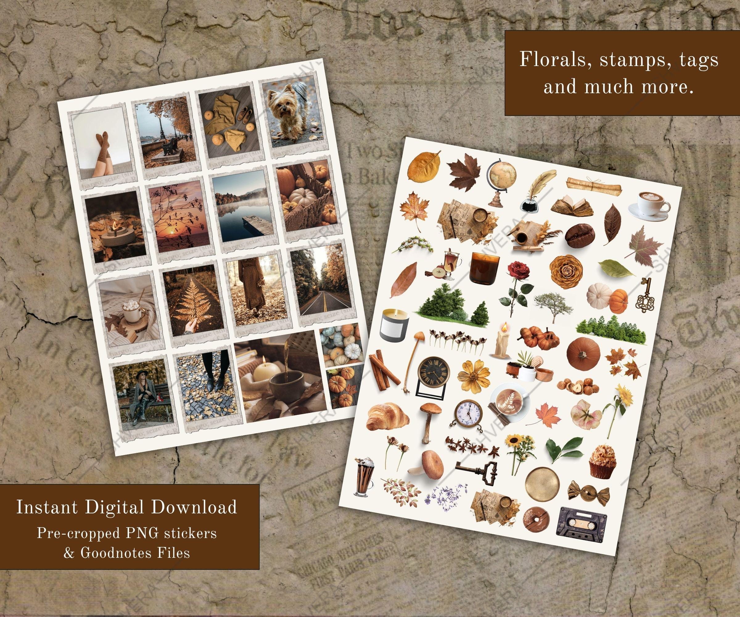 260 Autumn Digital Journal Stickers | Pre-cropped Goodnotes Stickers ...