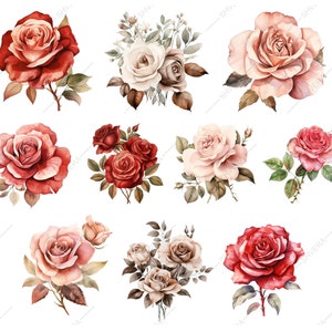 30 Watercolor Roses Digital Clipart Set, Png Watercolor Flower Set ...