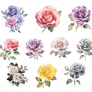 30 Watercolor Roses Digital Clipart Set, Png Watercolor Flower Set ...