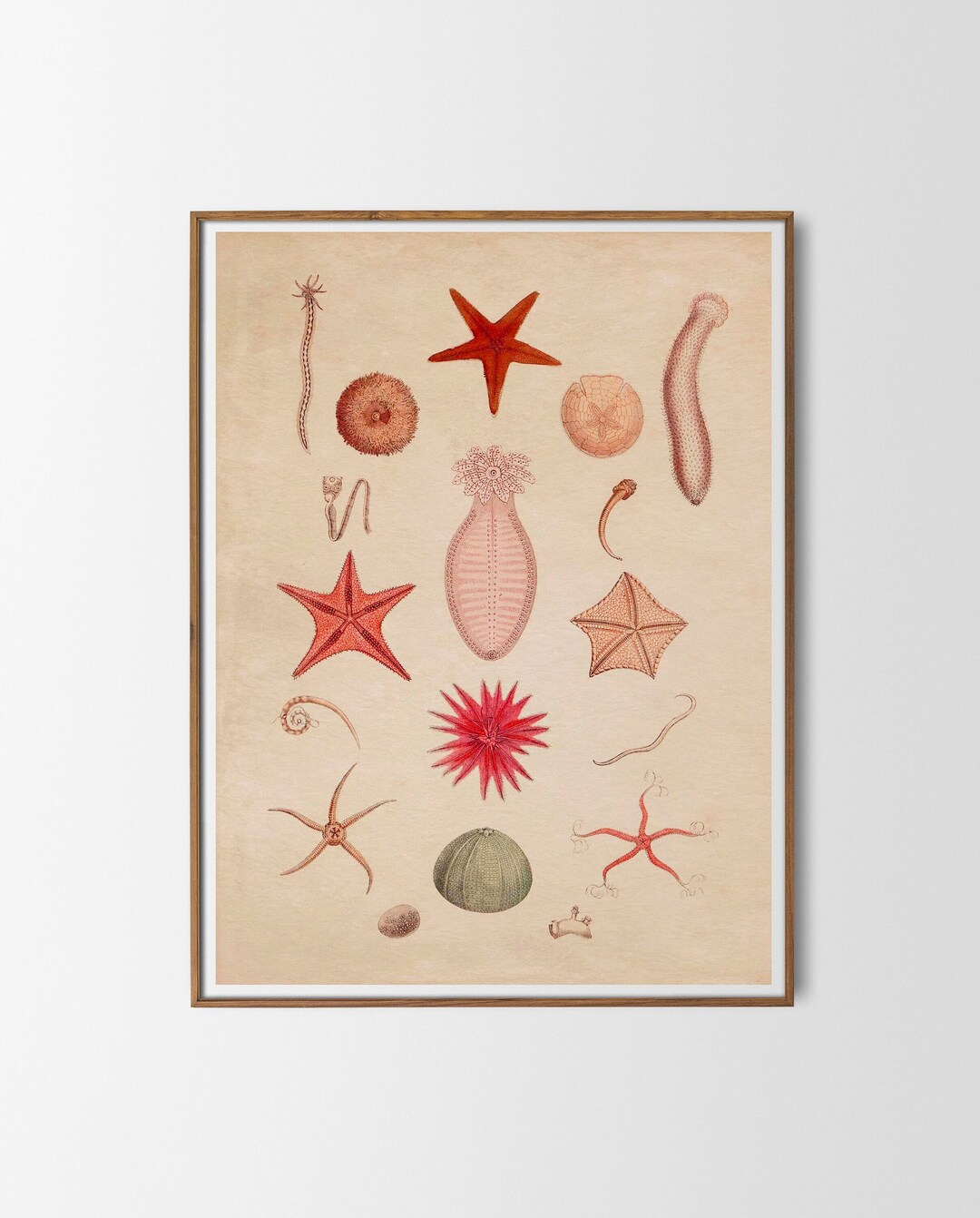 Vintage Print Retro Poster Starfish Retro Wall Decoration Lexicon ...