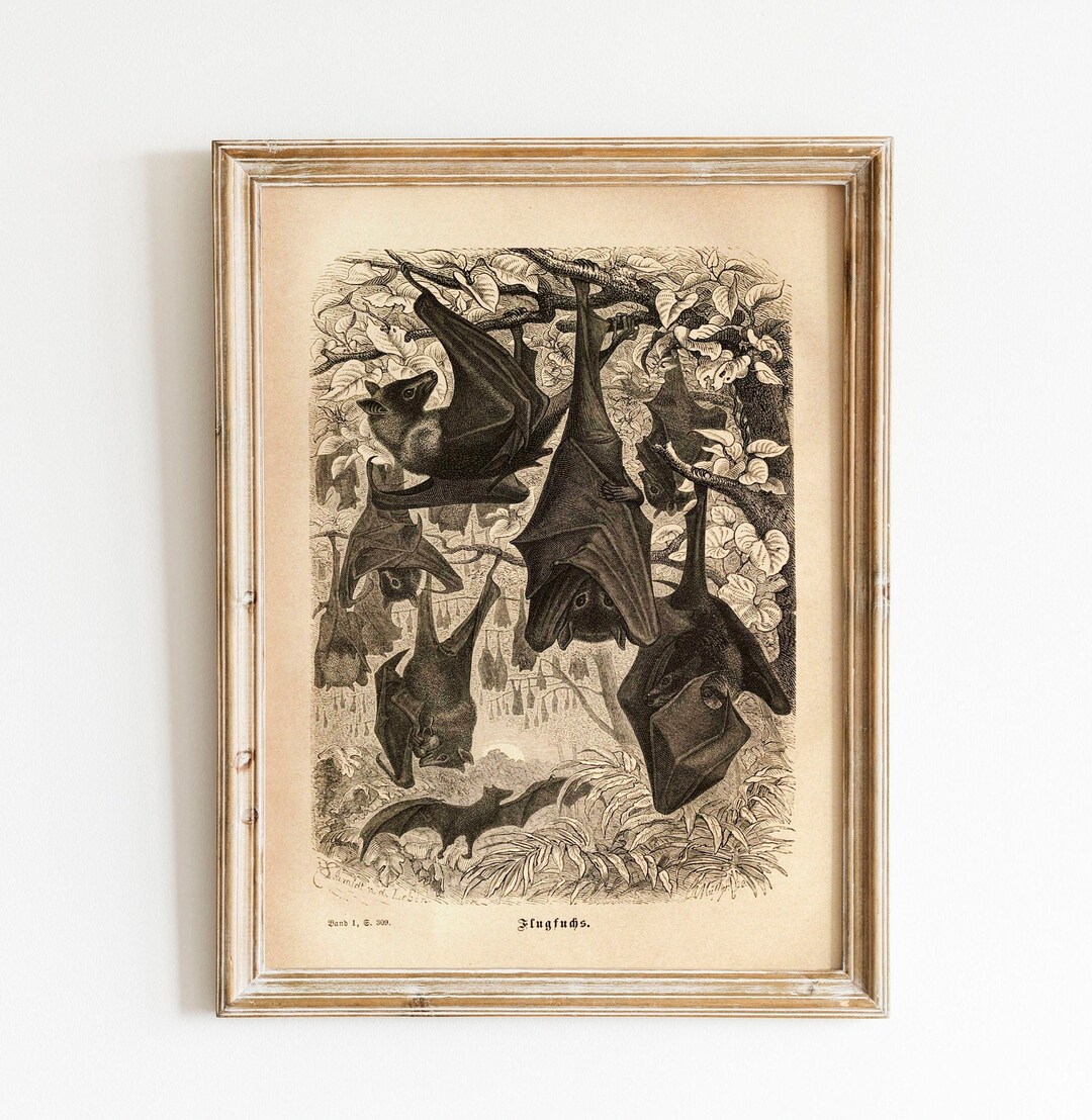 Vintage Print Bats Poster Halloween Gothic Horror Art Deco Wall ...