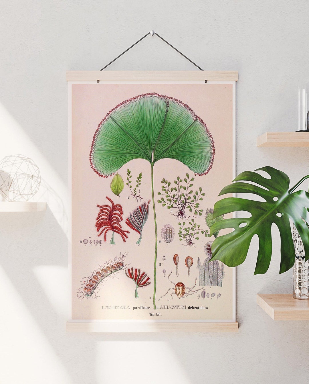 Botanical Print Ginkgo Sheet No.1 Poster Green Leaves Greenery Vintage ...