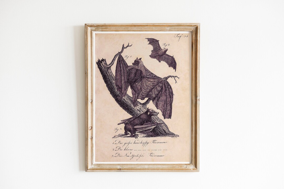 Vintage Print Bats Poster Halloween Gothic Art Decoration Art Print ...
