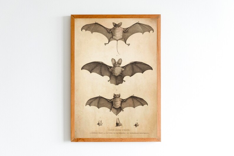 Vintage Print Bats Poster Gothic Art Halloween Horror Wall Decoration ...