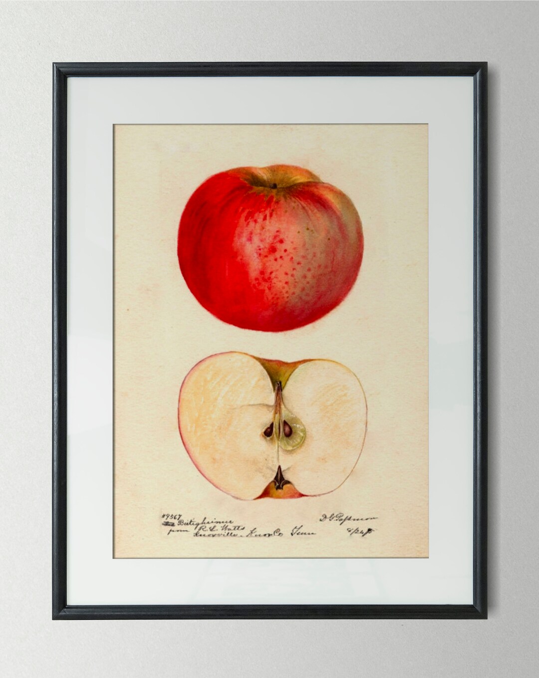 Vintage Poster Apple Retro Illustration Print Kitchen Wall Decoration ...