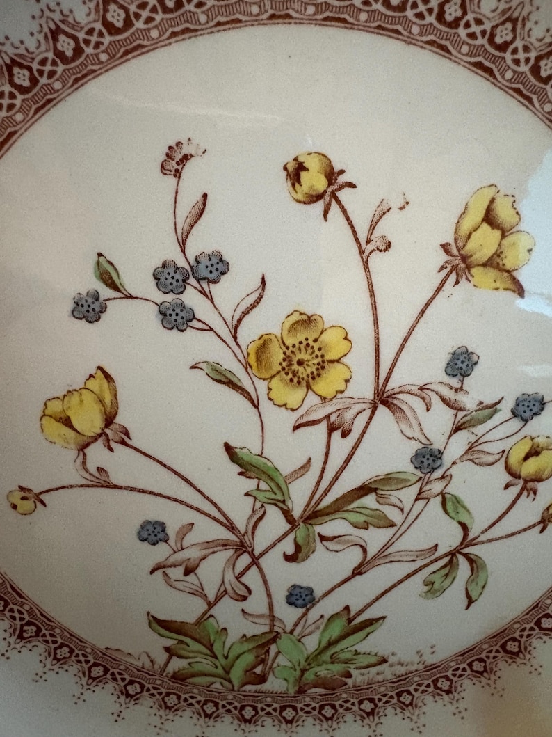 Copeland SPODE China Salad Plate Pattern Buttercup - Etsy