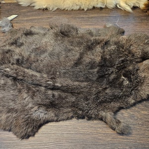 Beautiful Dark Color Rabbit Fur, Skin, Hide, Very Soft, All Natural ...