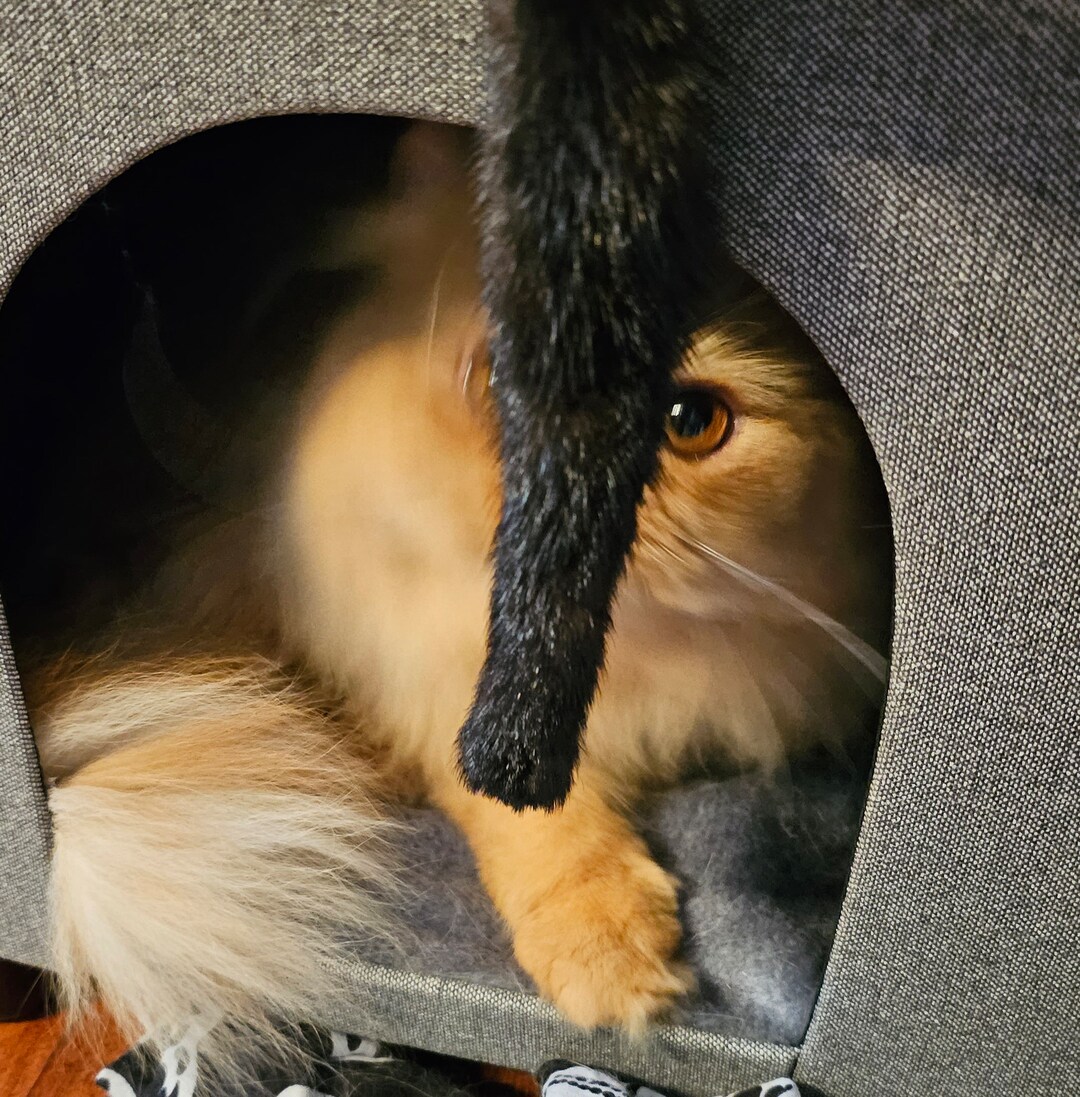 Real Fur Mink Tails, 2nd Choice Tails. 2 Tails Included. Catnip Options ...