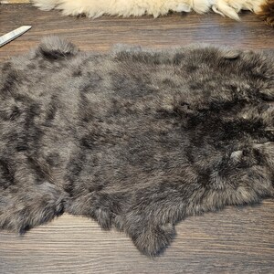 Beautiful Dark Color Rabbit Fur, Skin, Hide, Very Soft, All Natural ...