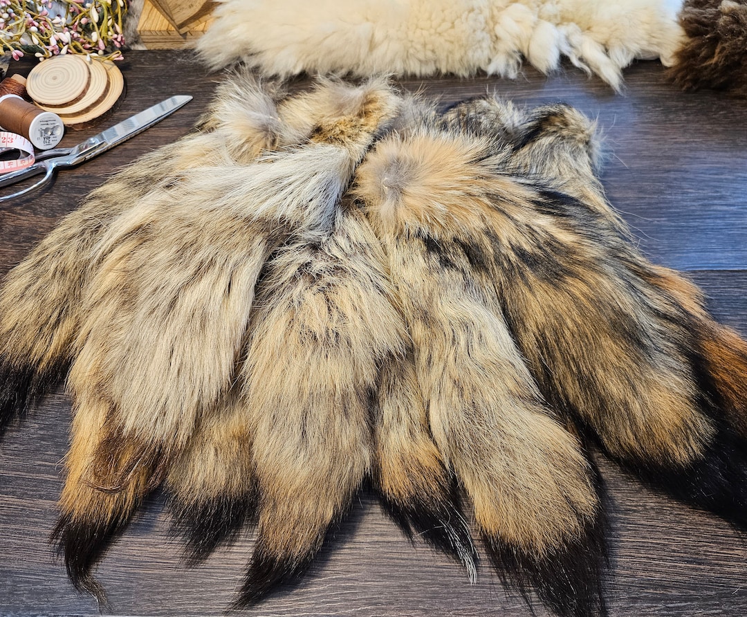 Natural Coyote Tail: Medium Size Real Fur Cat Toy (catnip Option) - Etsy