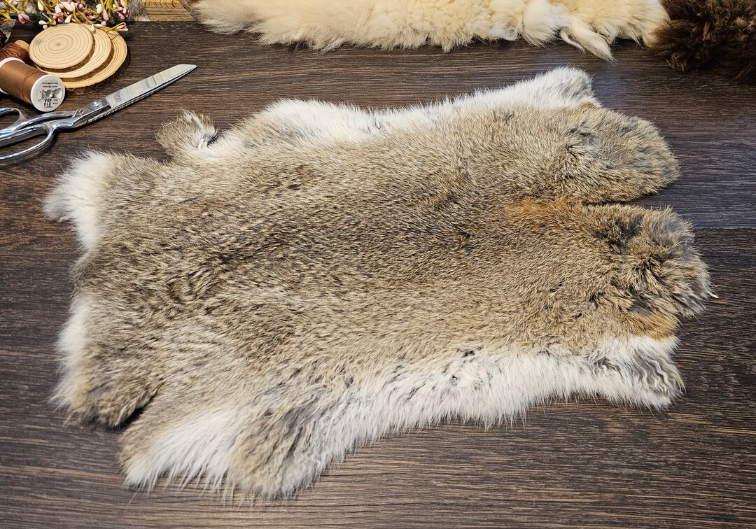 Beautiful Natural Color Rabbit Fur Pelt, All Natural, Organic, DIY ...