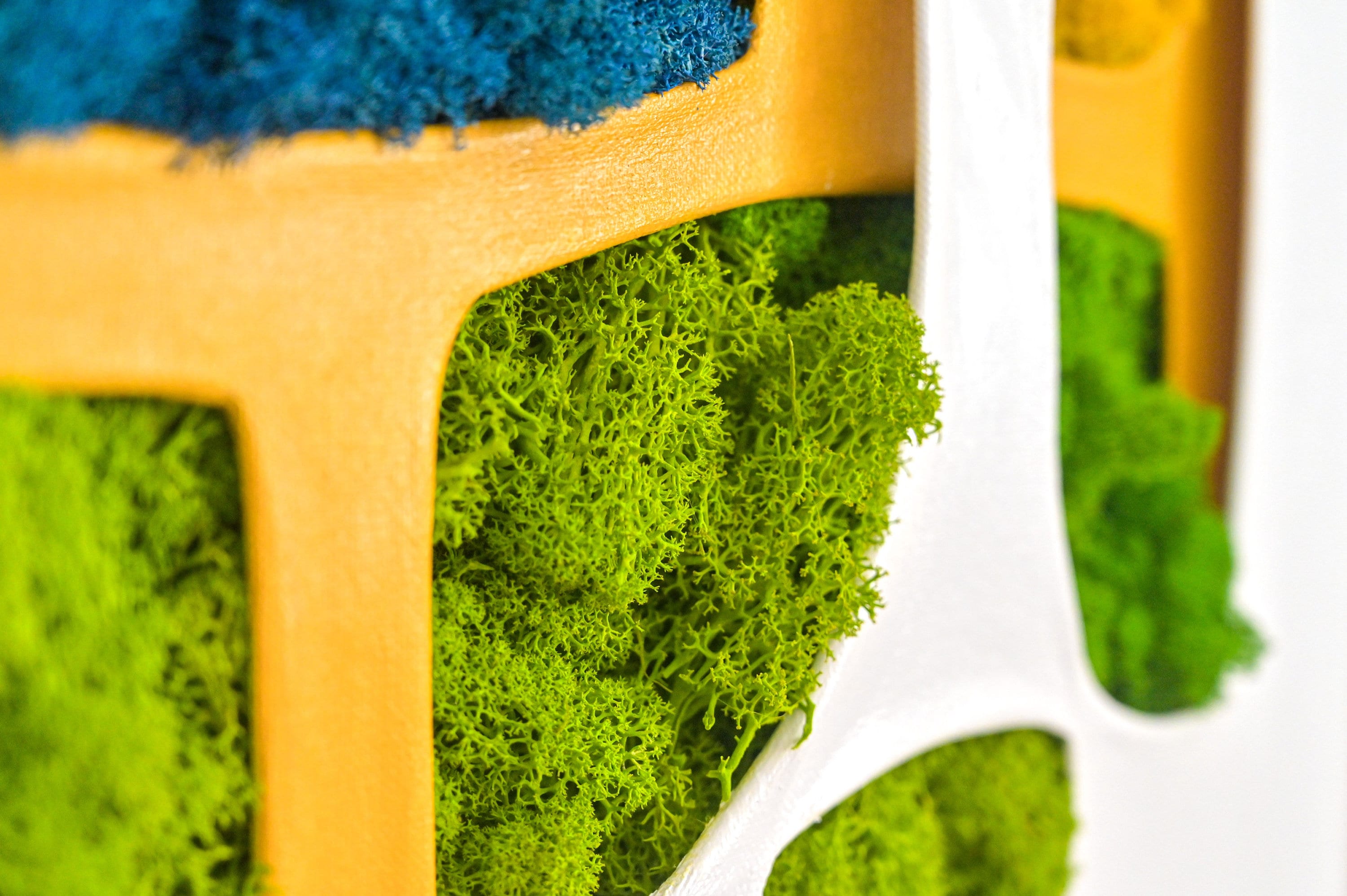 Designer's Pictures With Preserved Moss One-of-a-kind - Etsy