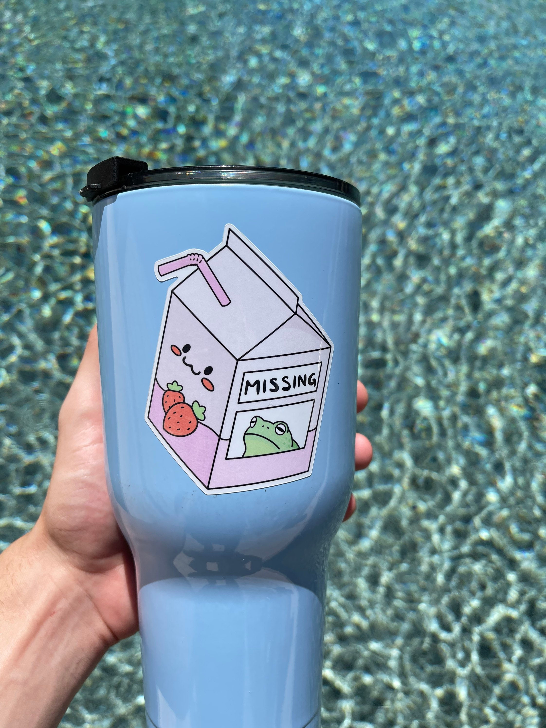 Missing Milk Carton Vinyl Sticker Frog Milk Carton Die Cut Sticker ...