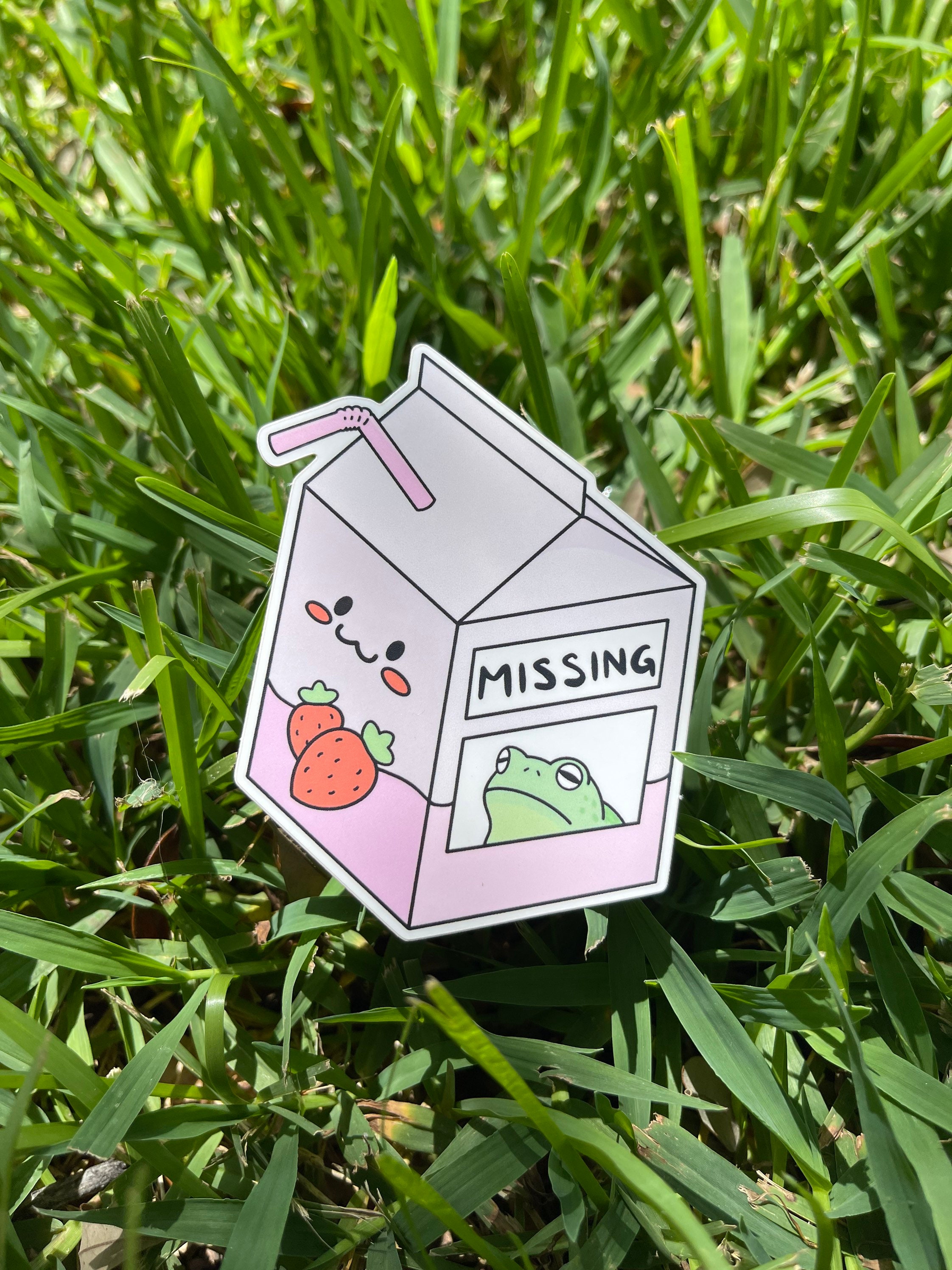 Missing Milk Carton Vinyl Sticker Frog Milk Carton Die Cut Sticker ...