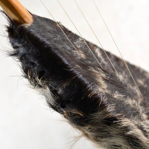 Vintage African Alur People Tribal Art Handcrafted Adungu Stringed ...