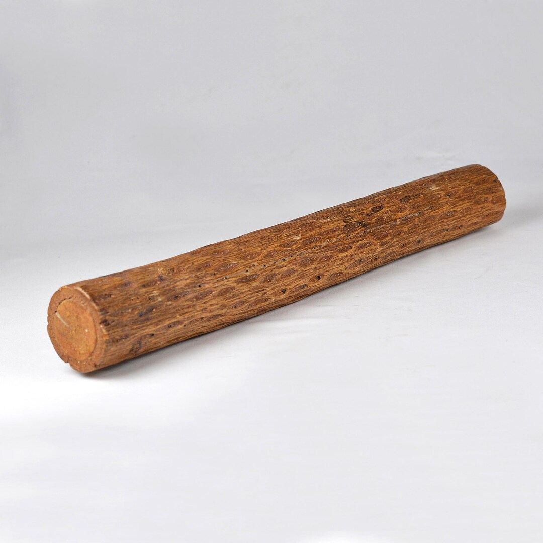 Vintage Latin America Folk Instrument Chilean Quisco/cactus Rainstick ...