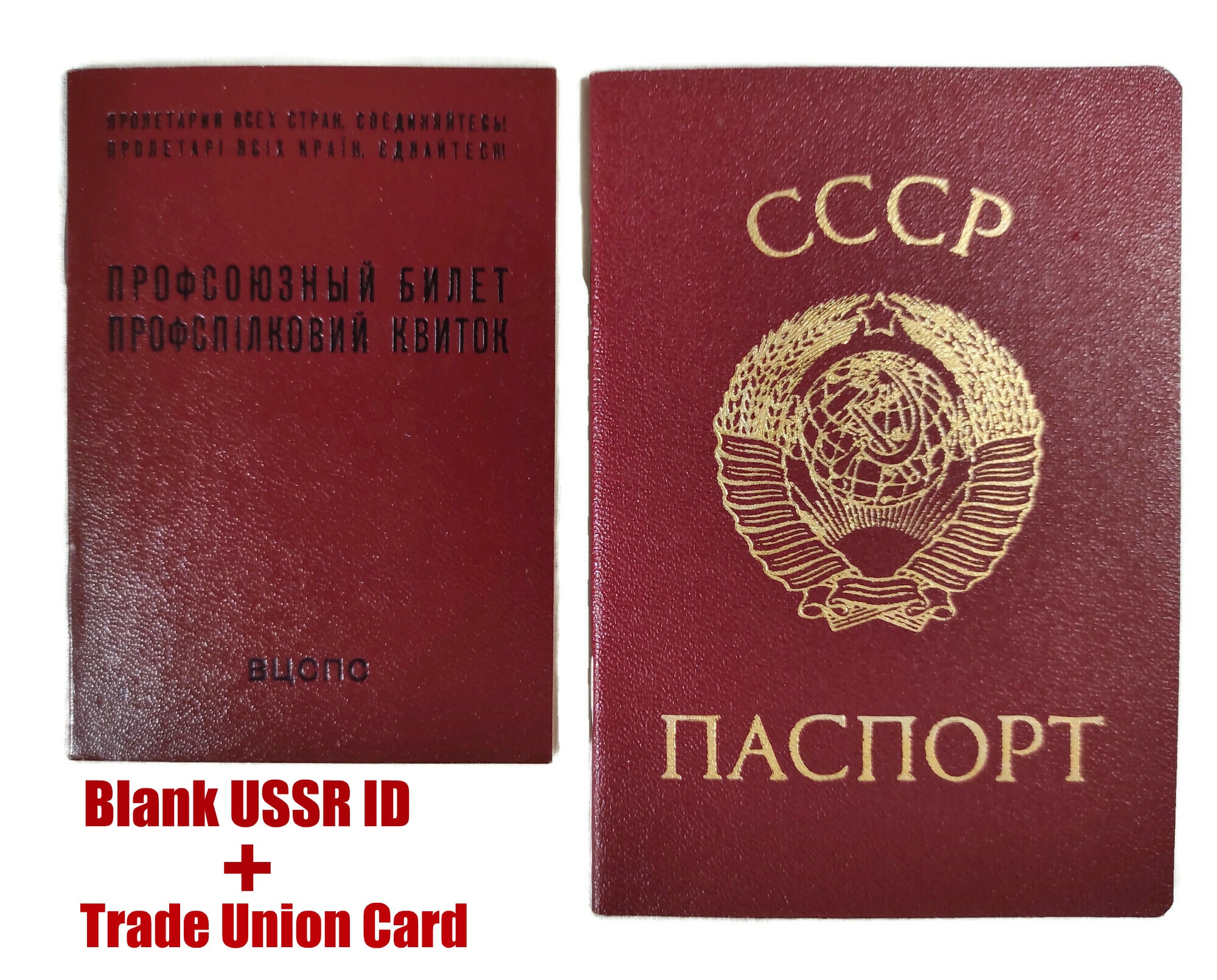 Blank Passport Card