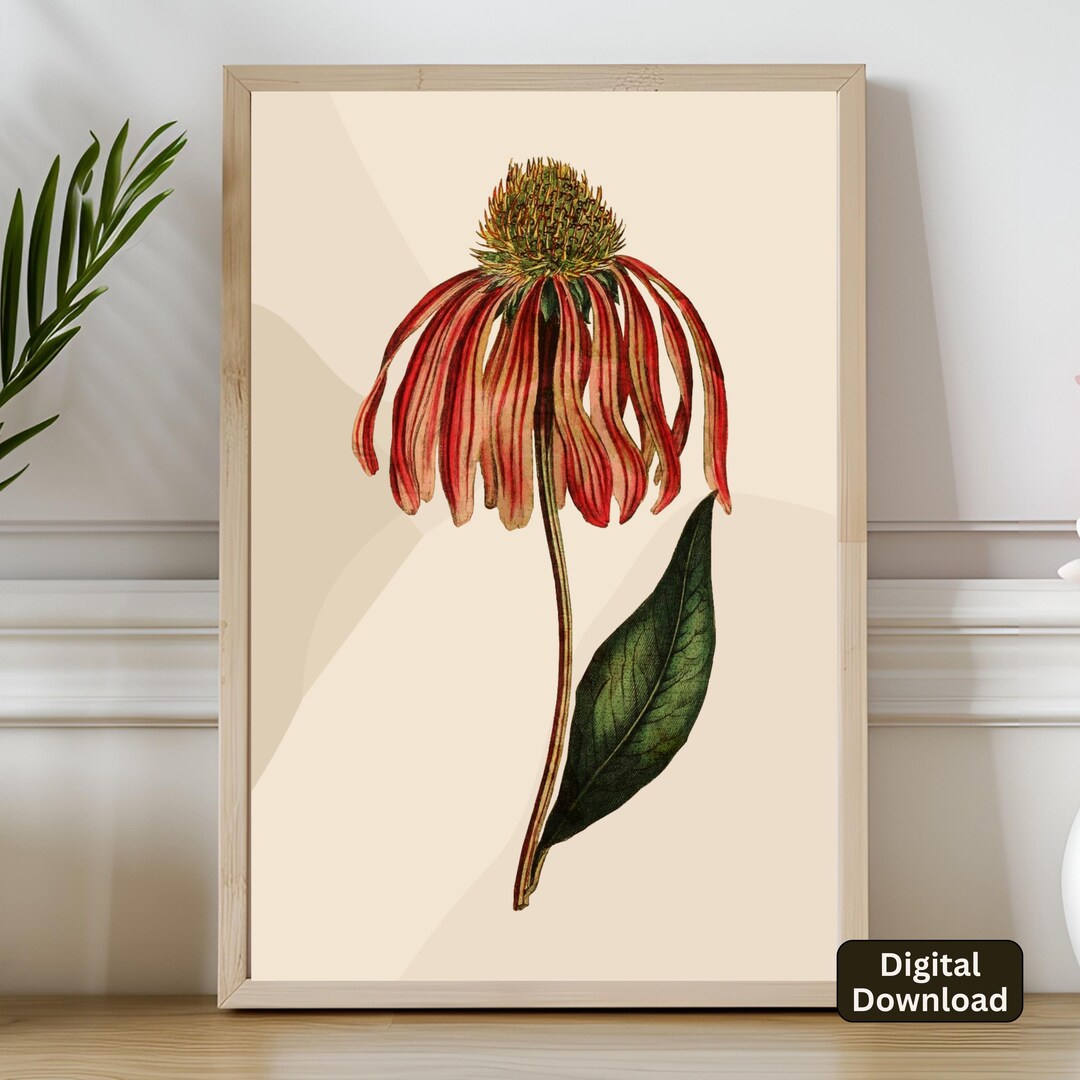 Red Flower Wall Art Printable Coneflower Poster Botanical Wall Art ...