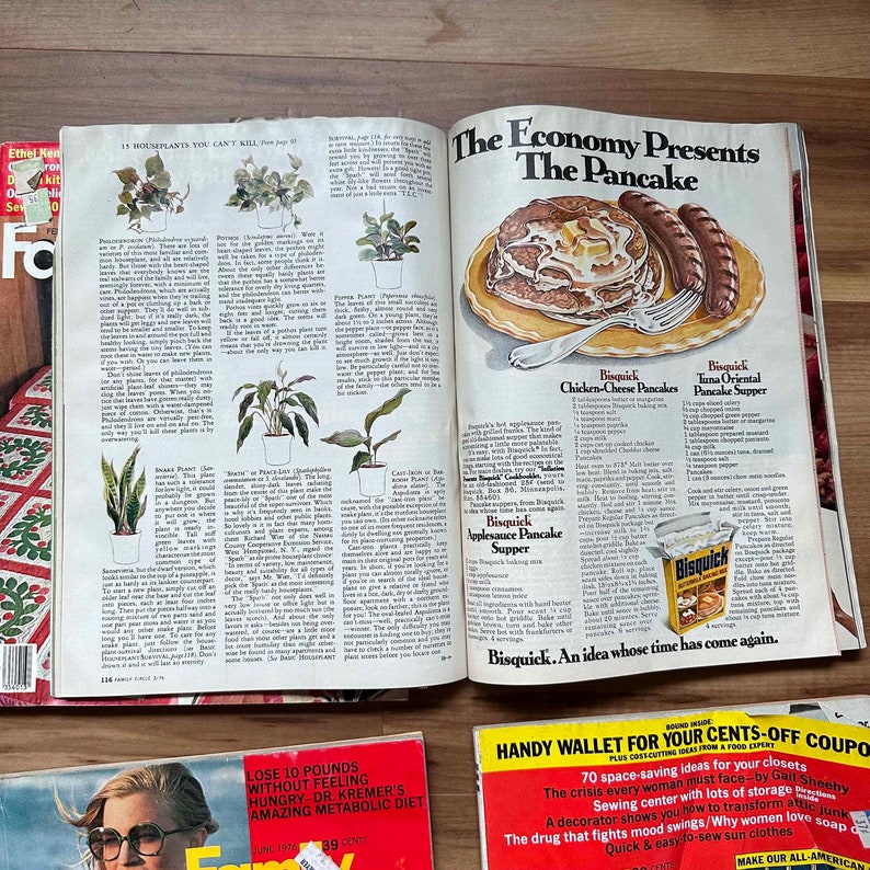 Vintage Family Circle Magazines 1972-1976 - Etsy