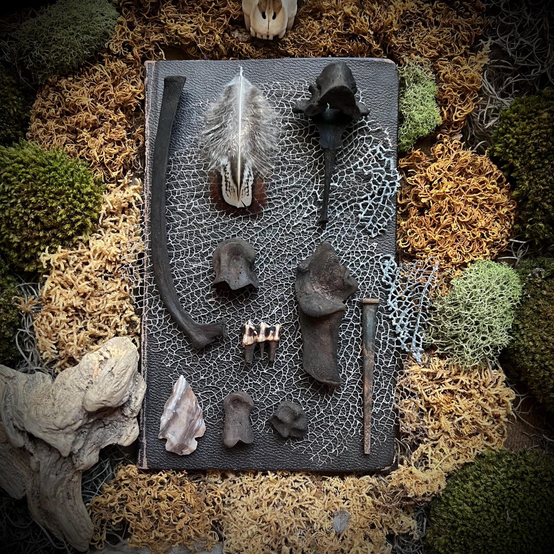 Osteomancy Set 3 - Etsy