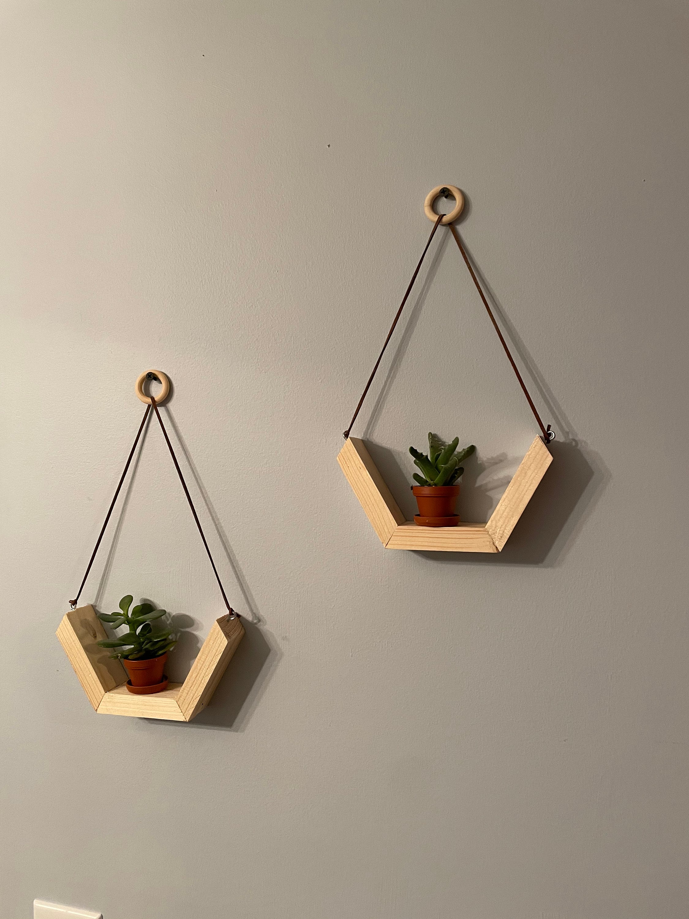 Small Hanging Shelves set of 2 Succulent Hanger Boho - Etsy