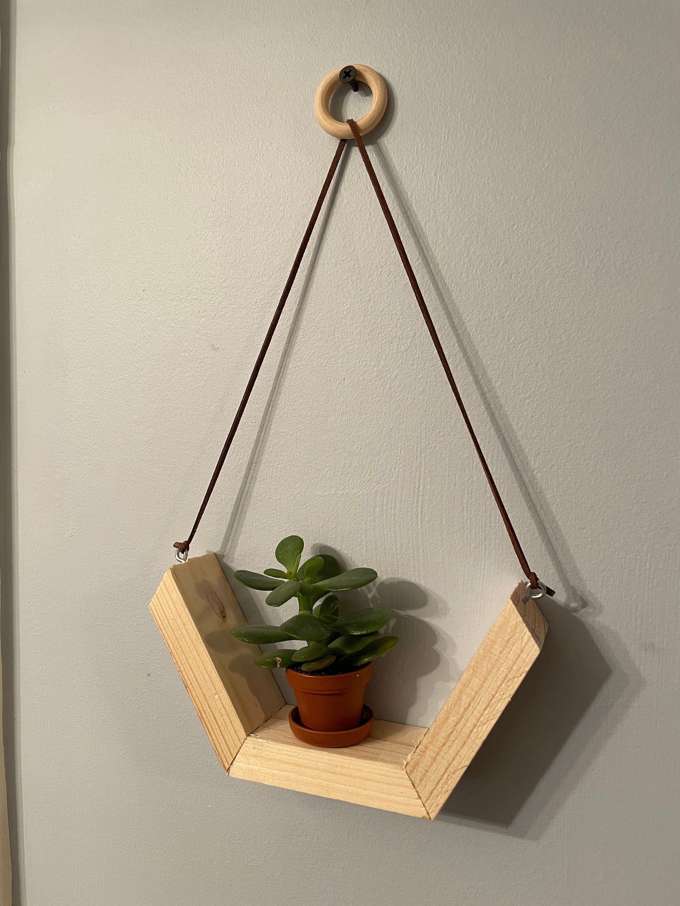 Small Hanging Shelves set of 2 Succulent Hanger Boho - Etsy
