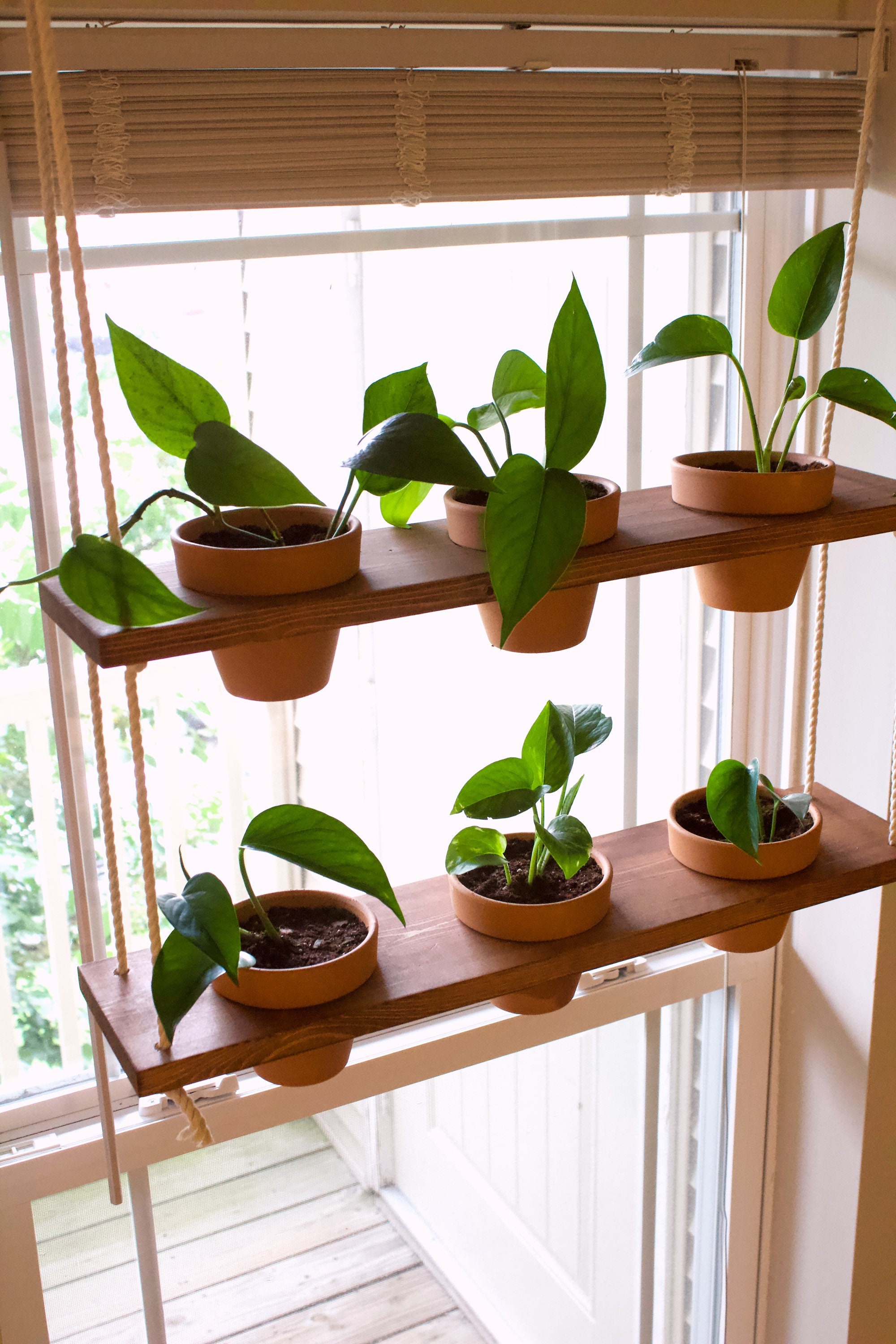 Window Plant Shelf Hanging Planter Tiered Plant Shelf - Etsy UK