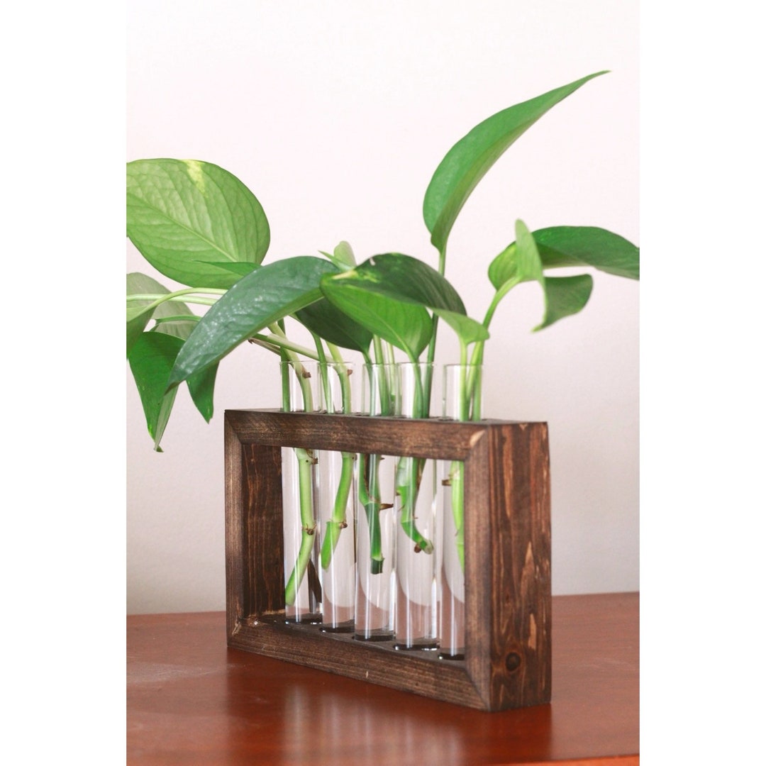 Propagation Station | Plant Propagation- Tubes Included | Indoor Plant ...