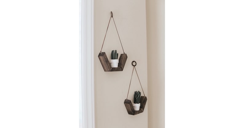 Small Hanging Shelves set of 2 Succulent Hanger Boho - Etsy