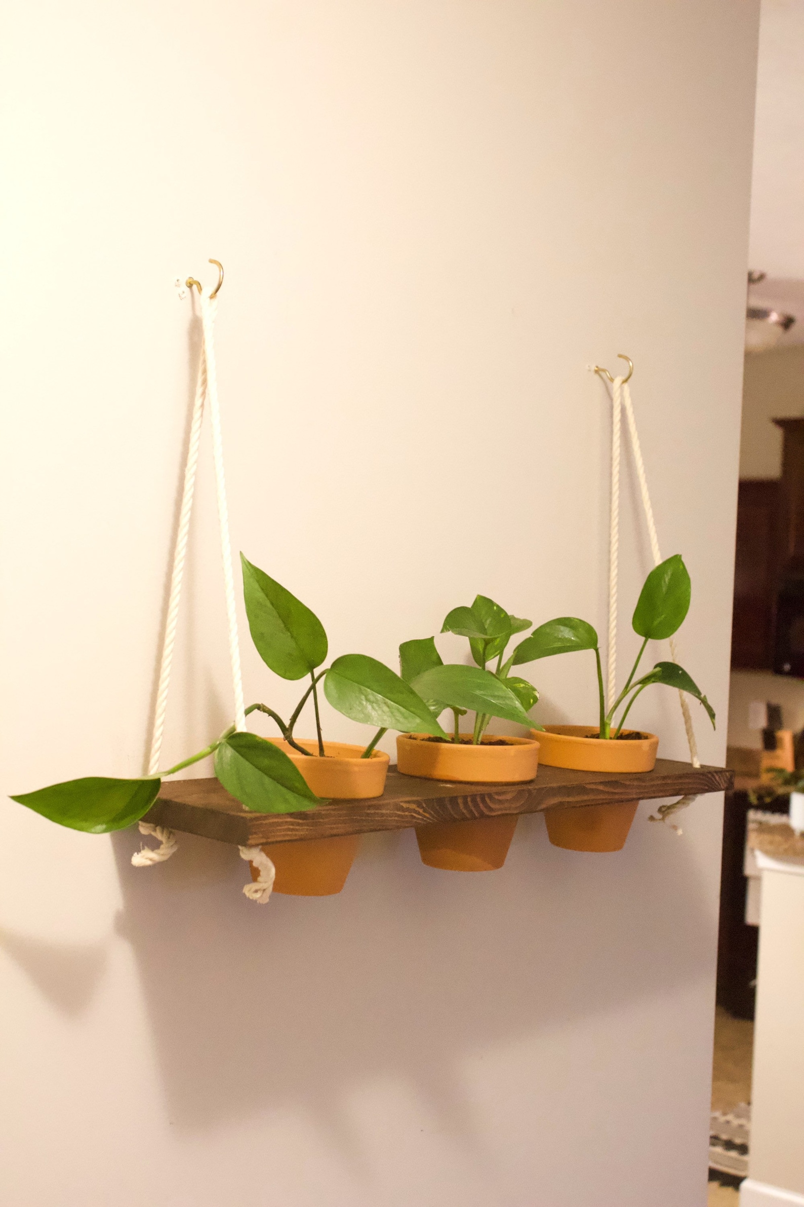 Hanging Plant Shelf Window Garden Shelves Tiered Plant - Etsy
