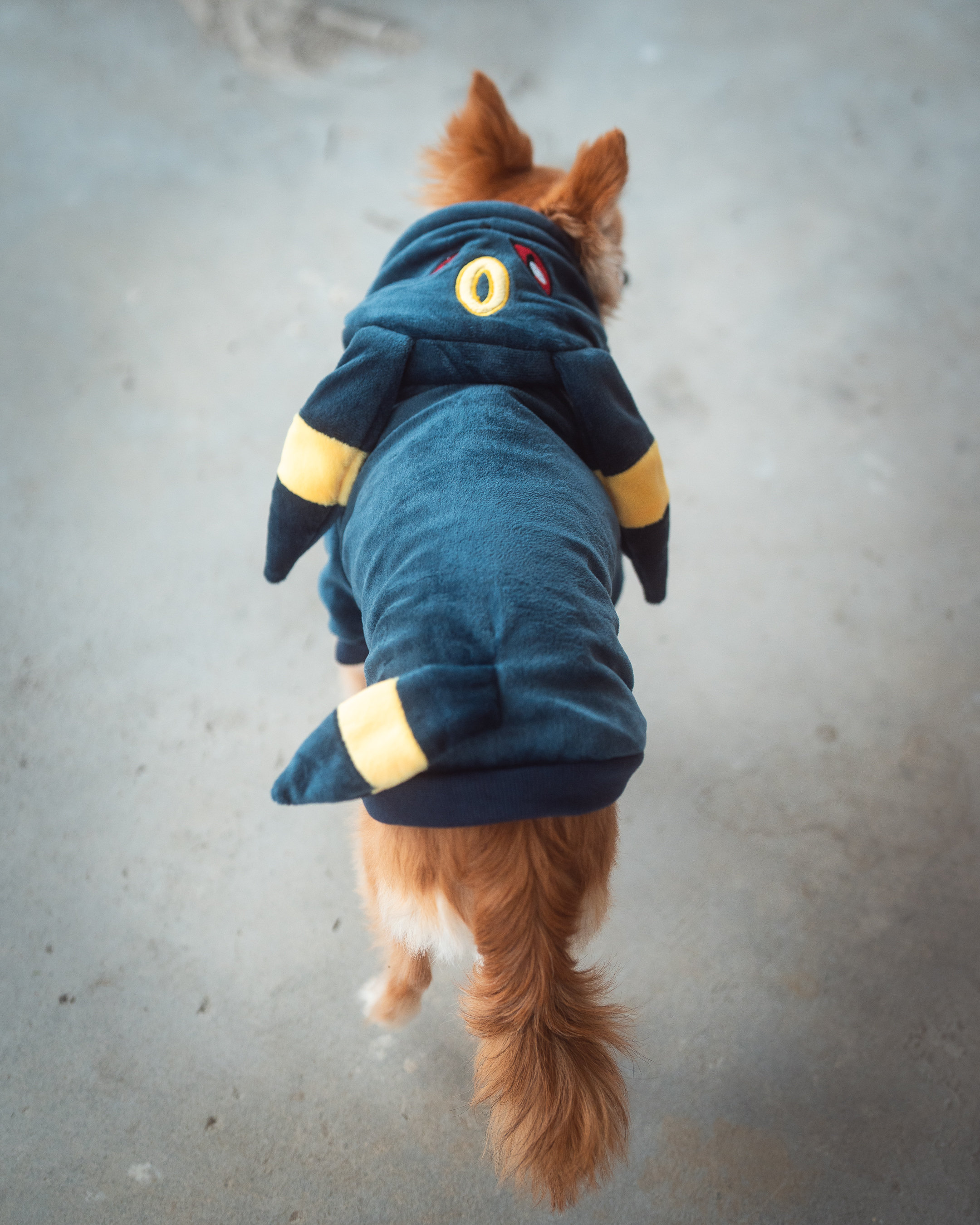Umbreon Dog Costume Pokemon Espeon And Umbreon Plush Stuffed Animals,