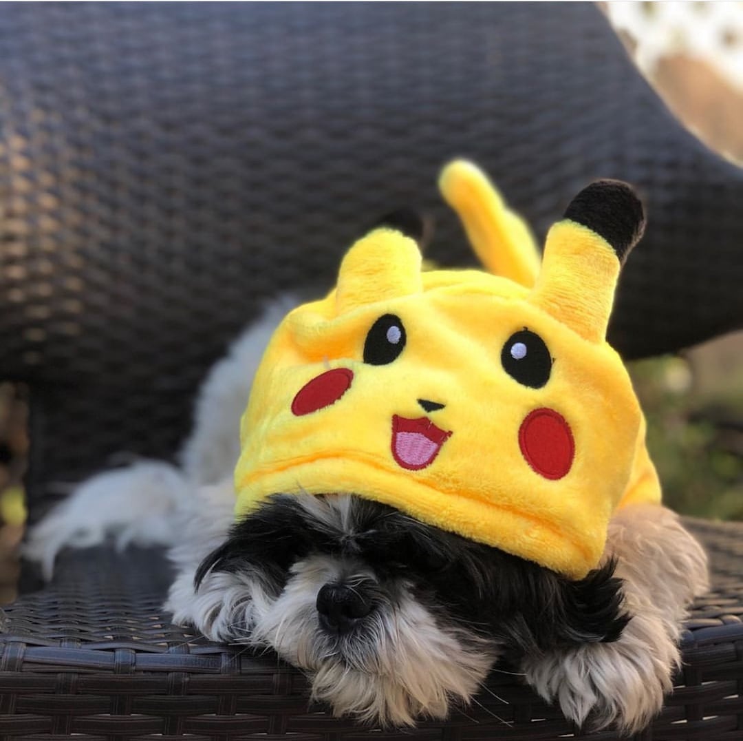 Pikachu Dog Costume Pokémon Outfit for Pets Anime Dog - Etsy Norway