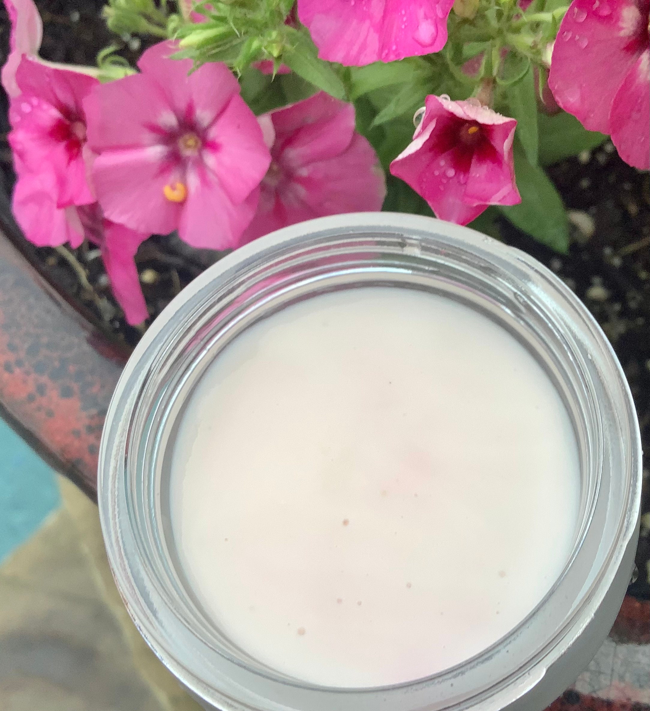 Prickly Pear Agave Stem Cell Facial Cream, Bakuchiol Cream, Face Cream ...