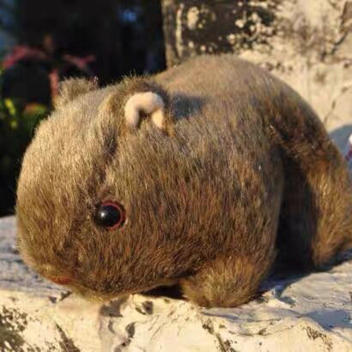 25cm Cute Wombat Plush Toys Wombat Plushies Kawaii Stuffed | Etsy