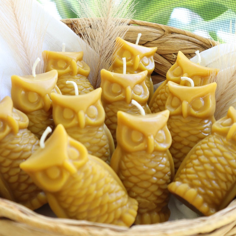 Beeswax Figurine Candles - Etsy