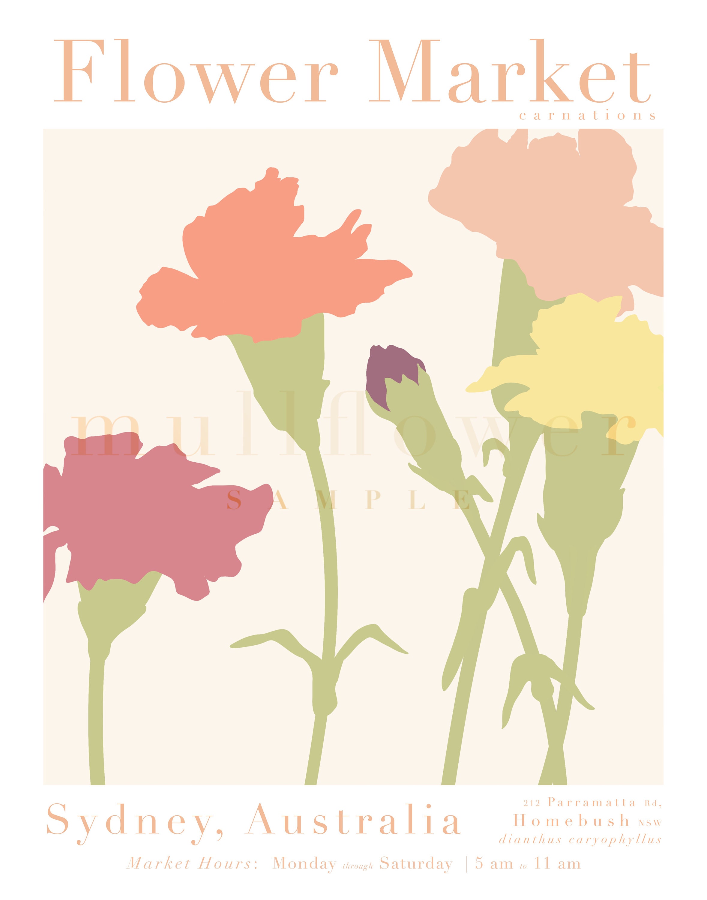 Flower Market, Sydney, Australia, Minimalist Flowers Carnations ...