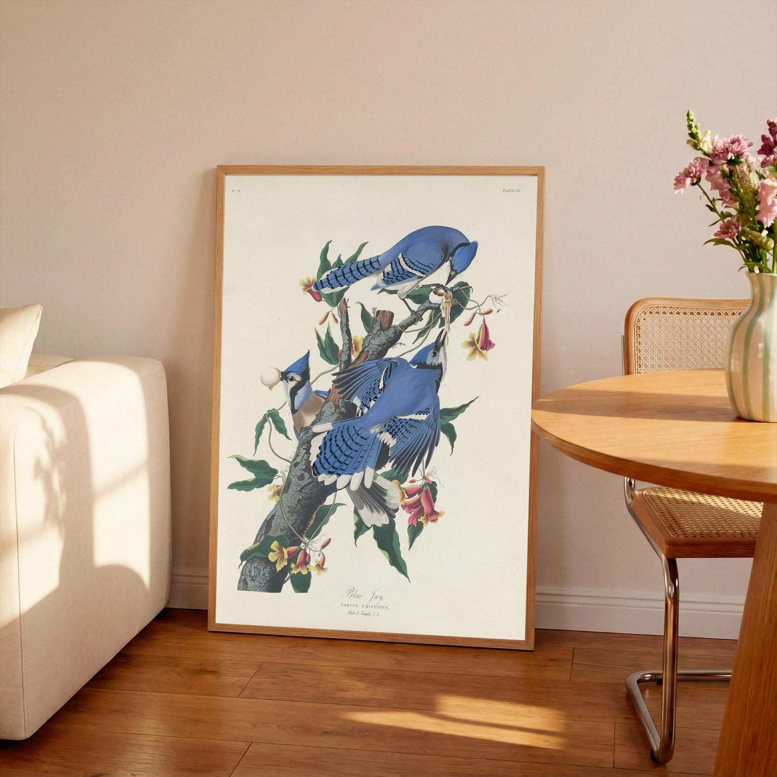 John James Audubon- Blue Jay | Vintage Art | Wall Art | Housewarming ...