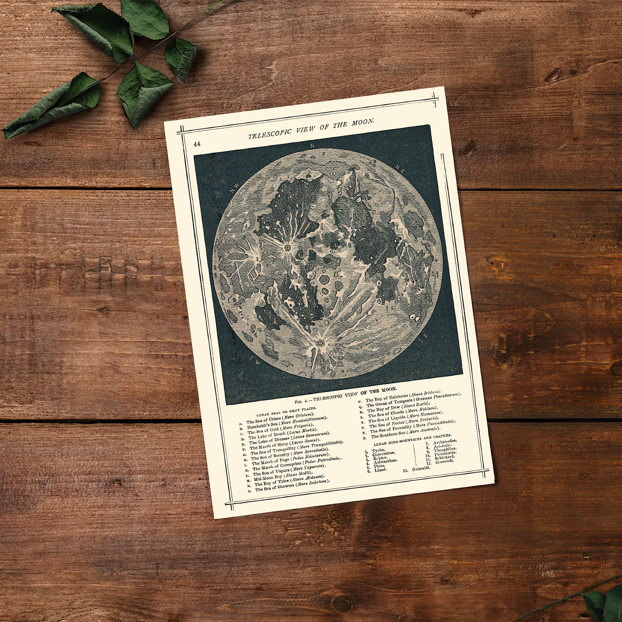 View of the Moon 1866, Vintage Moon Map, Antique Moon Print, Vintage ...