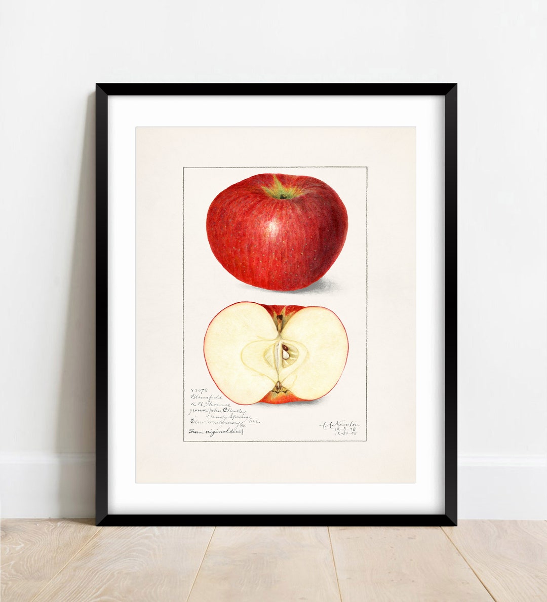 Vintage Apple Print A A Newton, Kitchen Wall Art, Vintage Home Decor ...