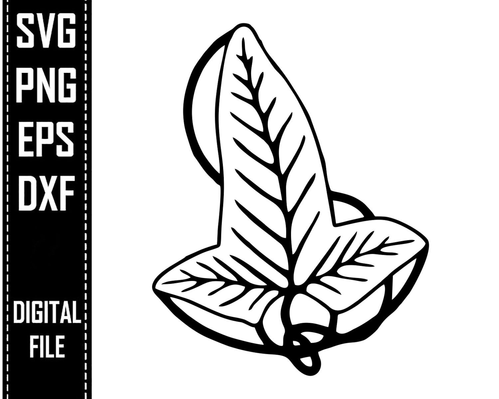 Elven Leaf Svg Eps Png Dxf Cricut Leaf Clipart Lord Ring Elves | Etsy
