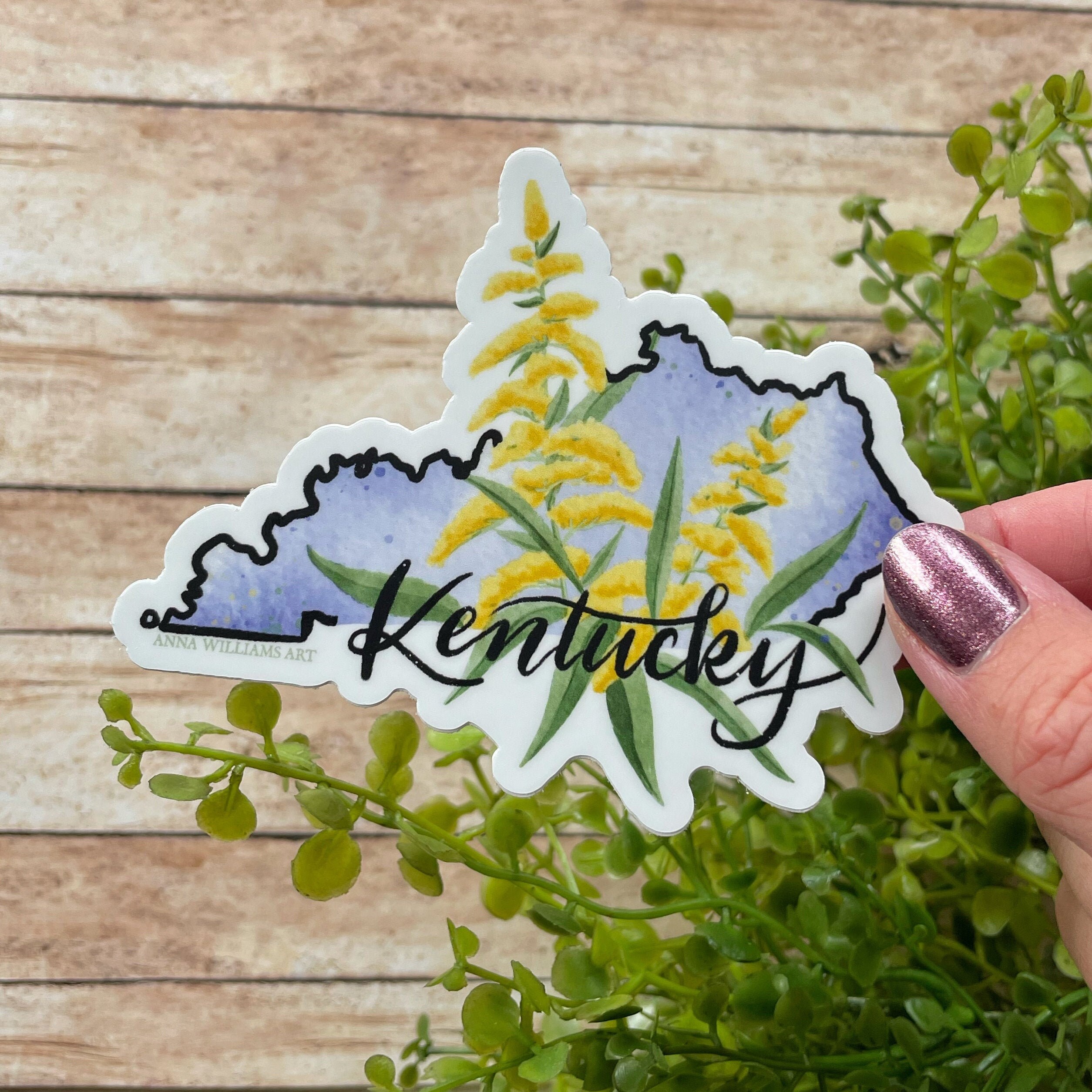 Kentucky State Flower Sticker Waterproof Sticker for Car - Etsy UK