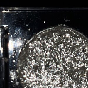 Silver Frost, Metallic Silver Eyeshadow - Etsy