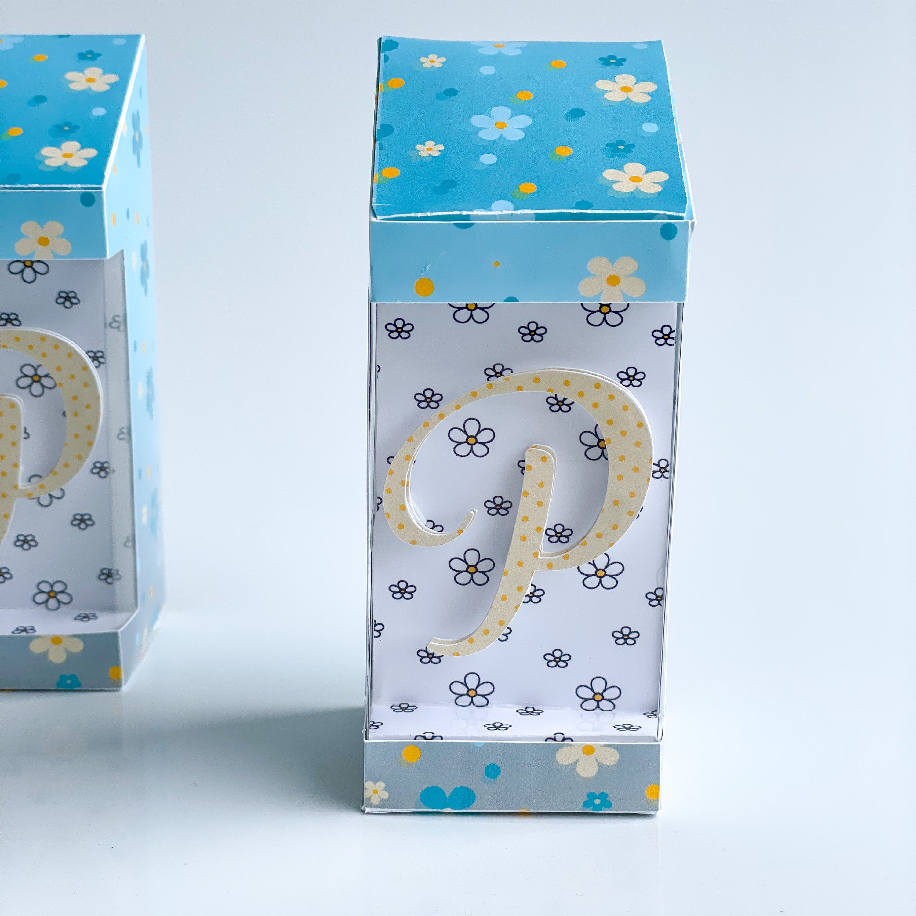 Box Shaker Template Party Favor SVG Silhouette and Cricut - Etsy