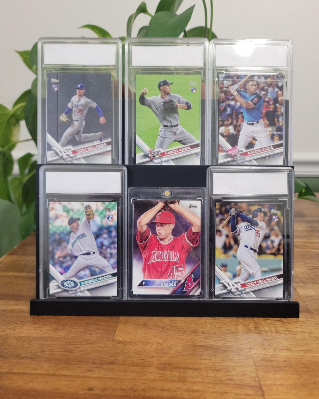 Sports Card Display / Trading Card Display / Baseball / Basketball ...