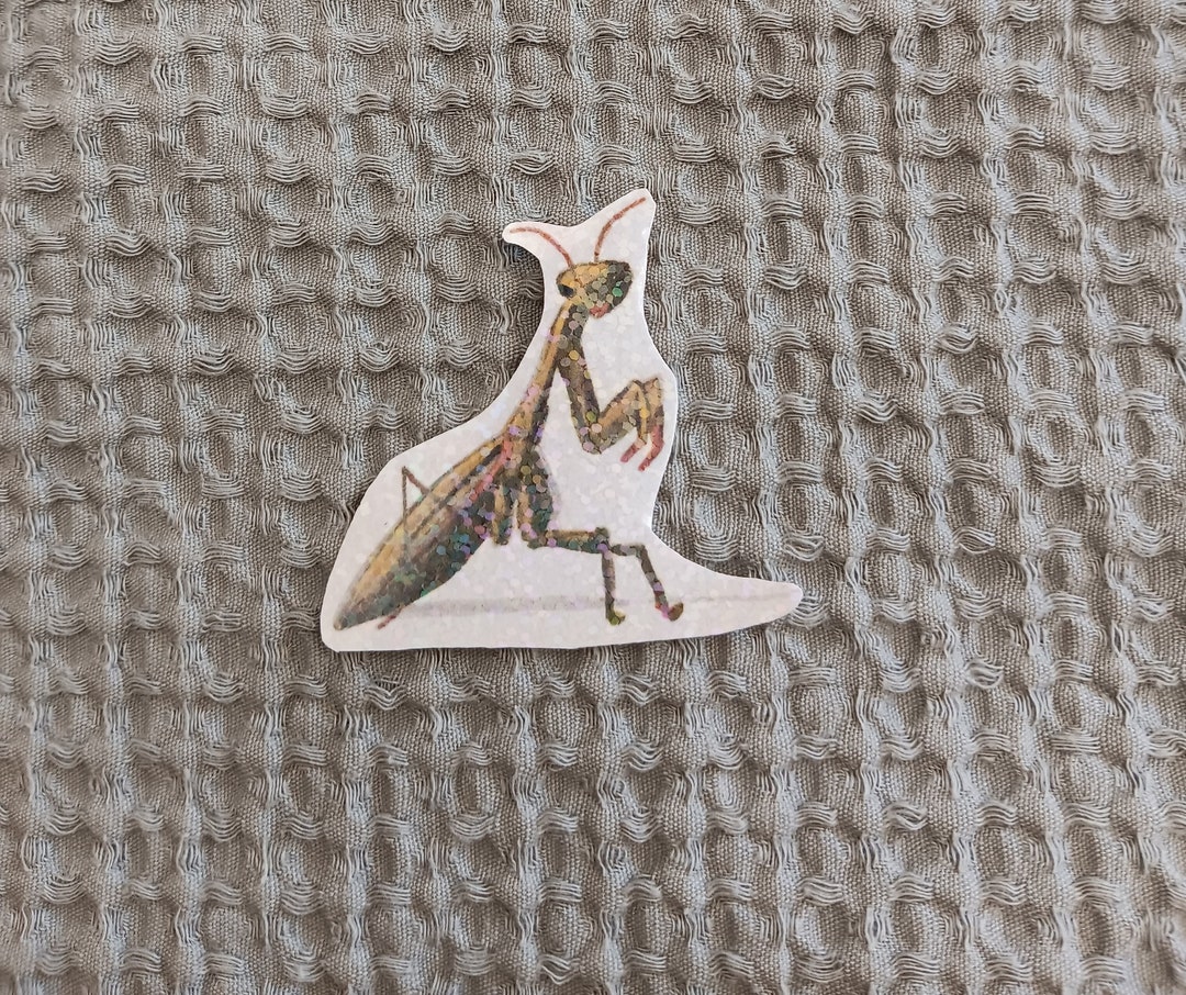 Praying Mantis Sticker - Etsy